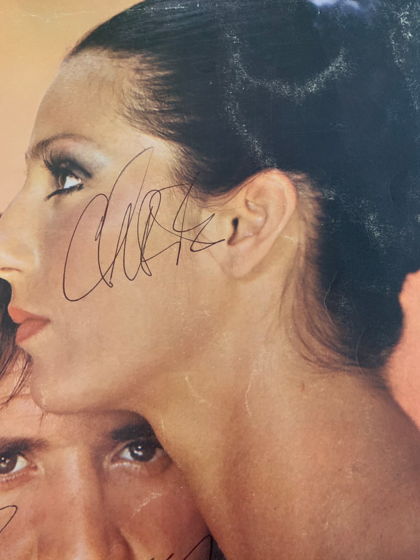 1972 Sonny and Cher Signed Autographed Concert Program COA - Etsy