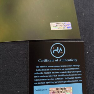 Jon Rahm LIV PGA Golf Star Masters Winner Signed Autographed 8x10 Photo ...