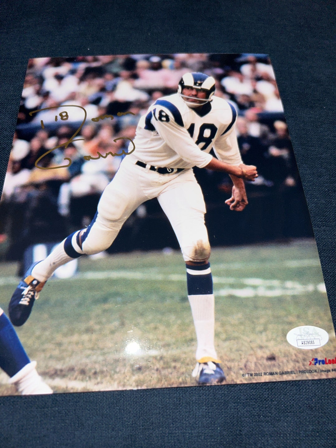 Roman Gabriel 8x10 Signed Autographed Los Angeles Rams Football Photo ...