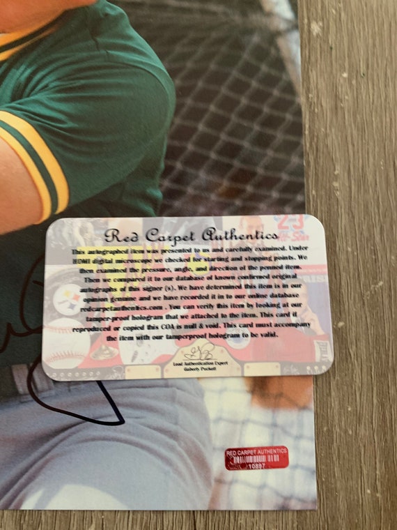 Mark Mcgwire Brothers And Sisters