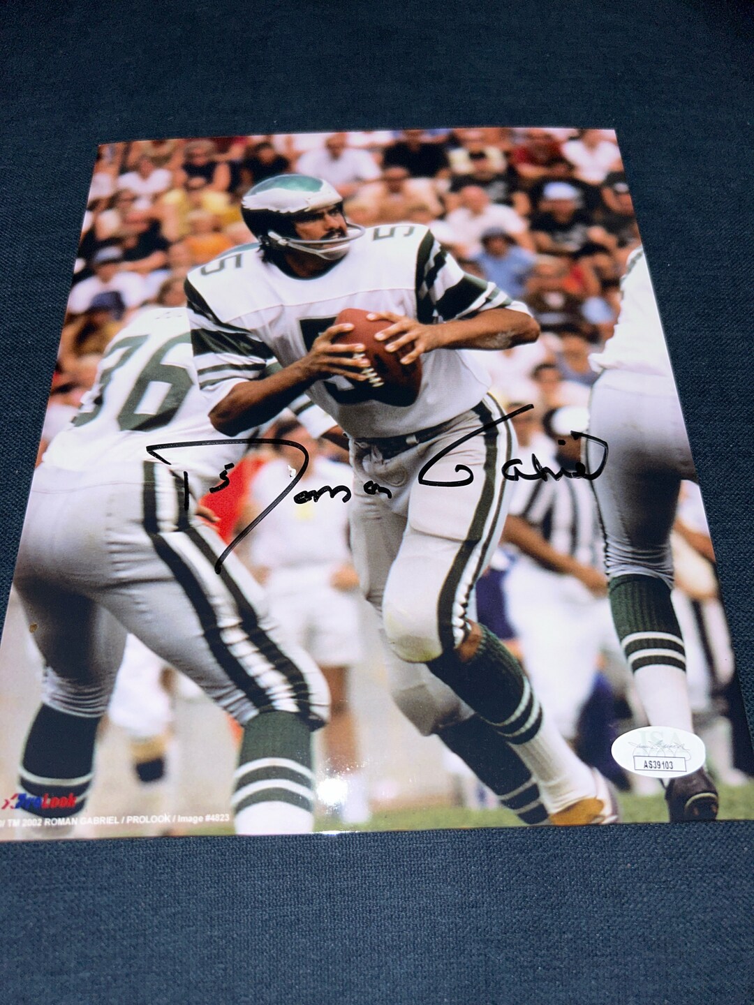 Roman Gabriel 8x10 Signed Autographed Philadelphia Eagles Football ...