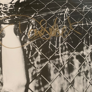 David Lee Roth From the Band Van Halen Hand Signed Autographed 36x24 ...