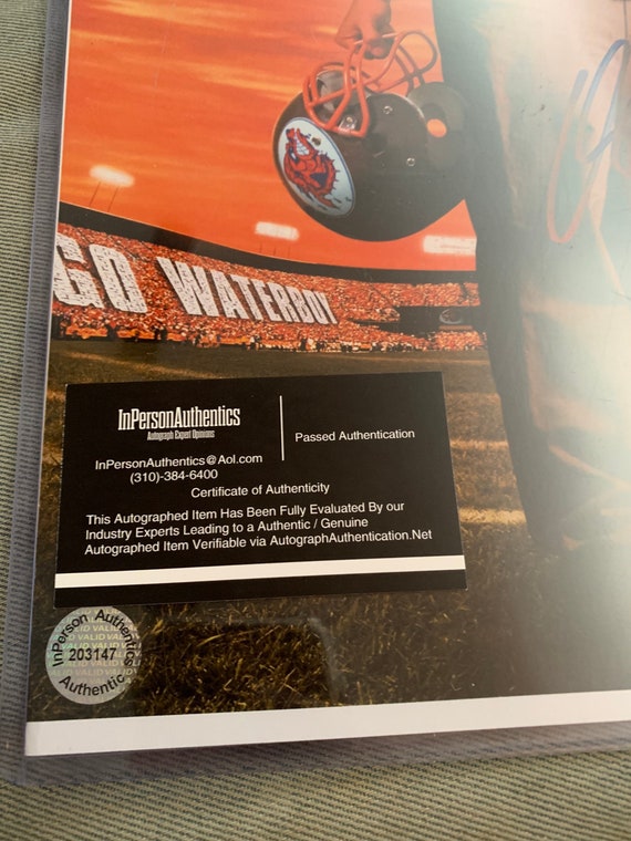 Adam Sandler Waterboy Poster