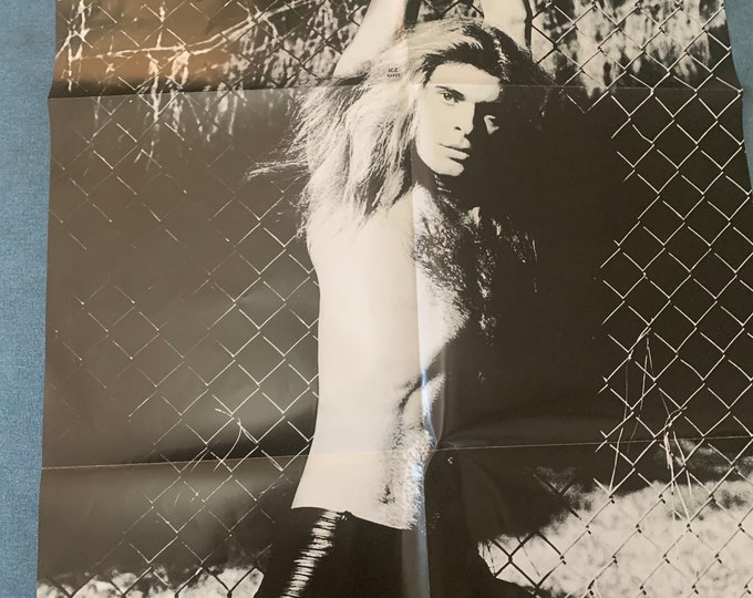 David Lee Roth From the Band Van Halen Hand Signed Autographed 36x24 ...