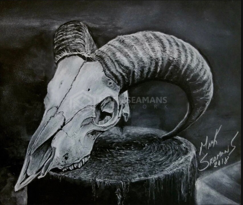 Charcoal Skull Portrait - Etsy