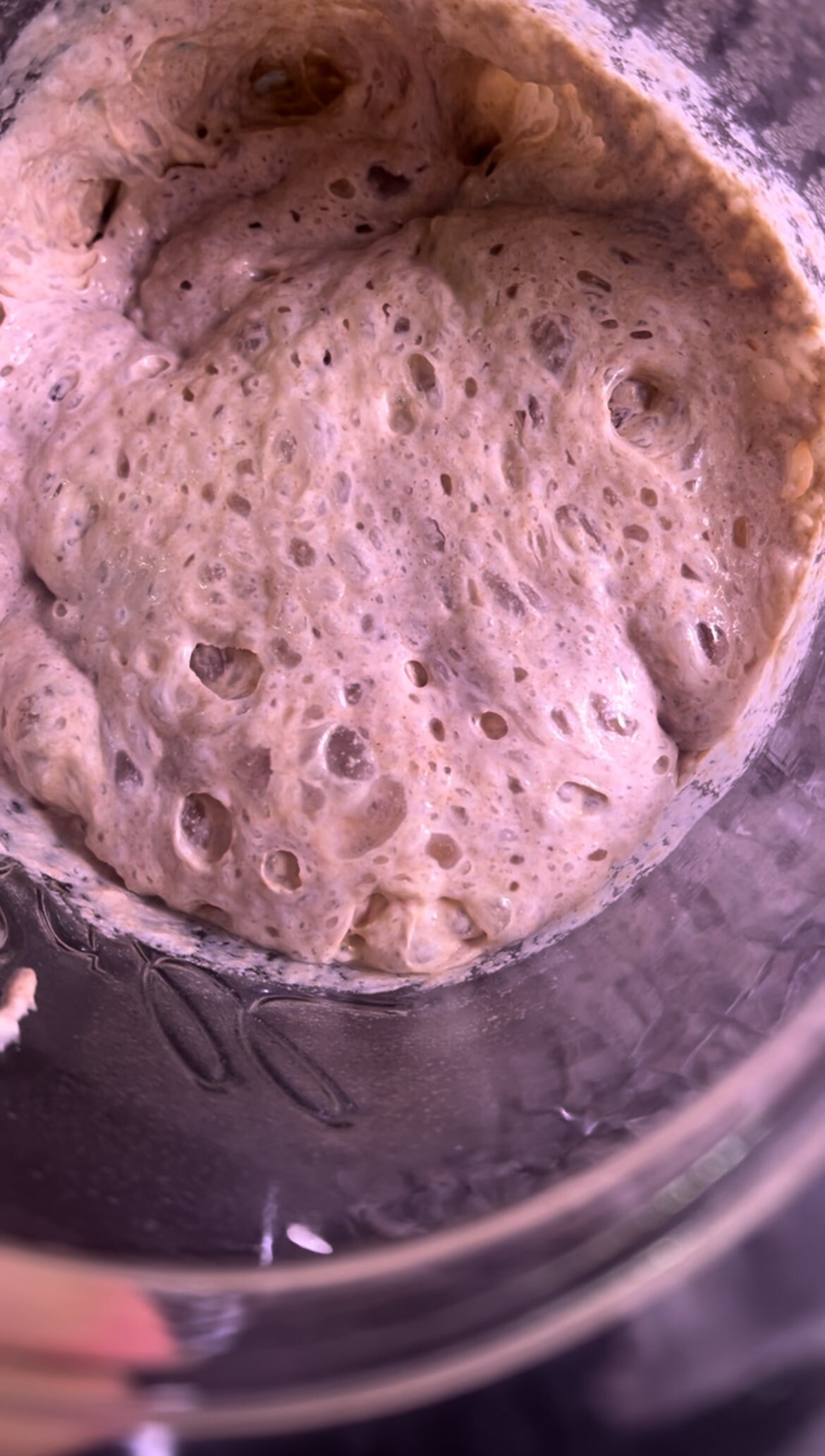 The Ultimate Sourdough Starter Guidebook - Etsy