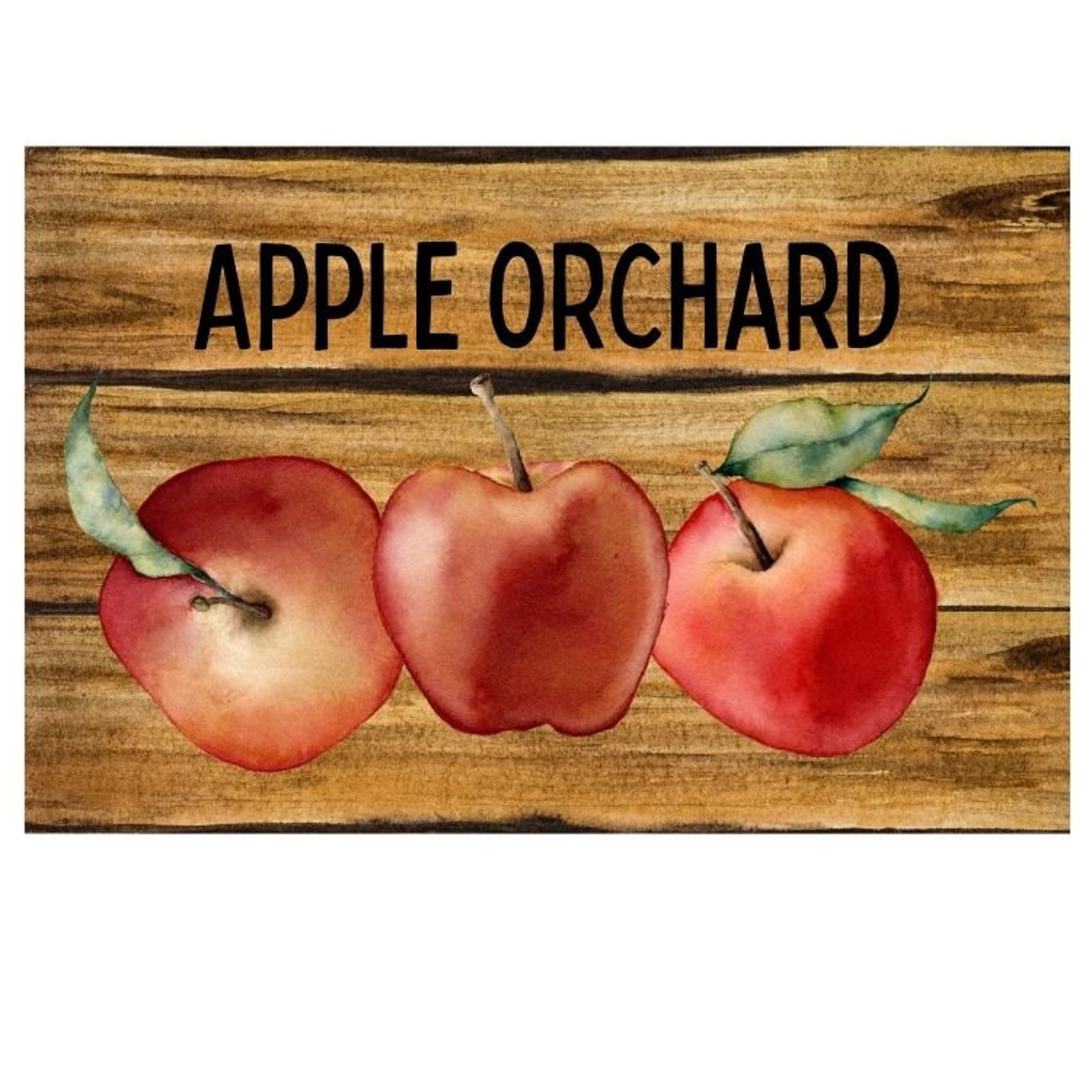 Apple Orchard SVG - Etsy
