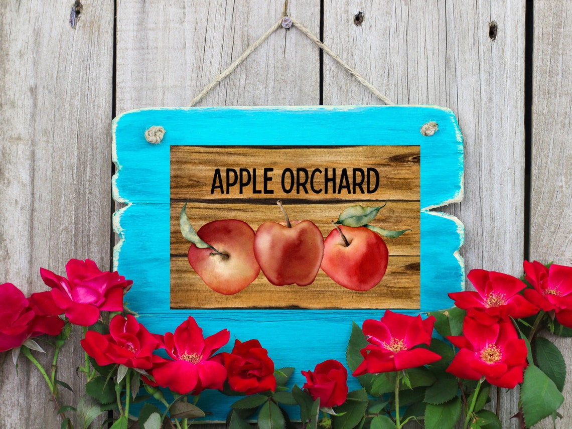 Apple Orchard SVG - Etsy