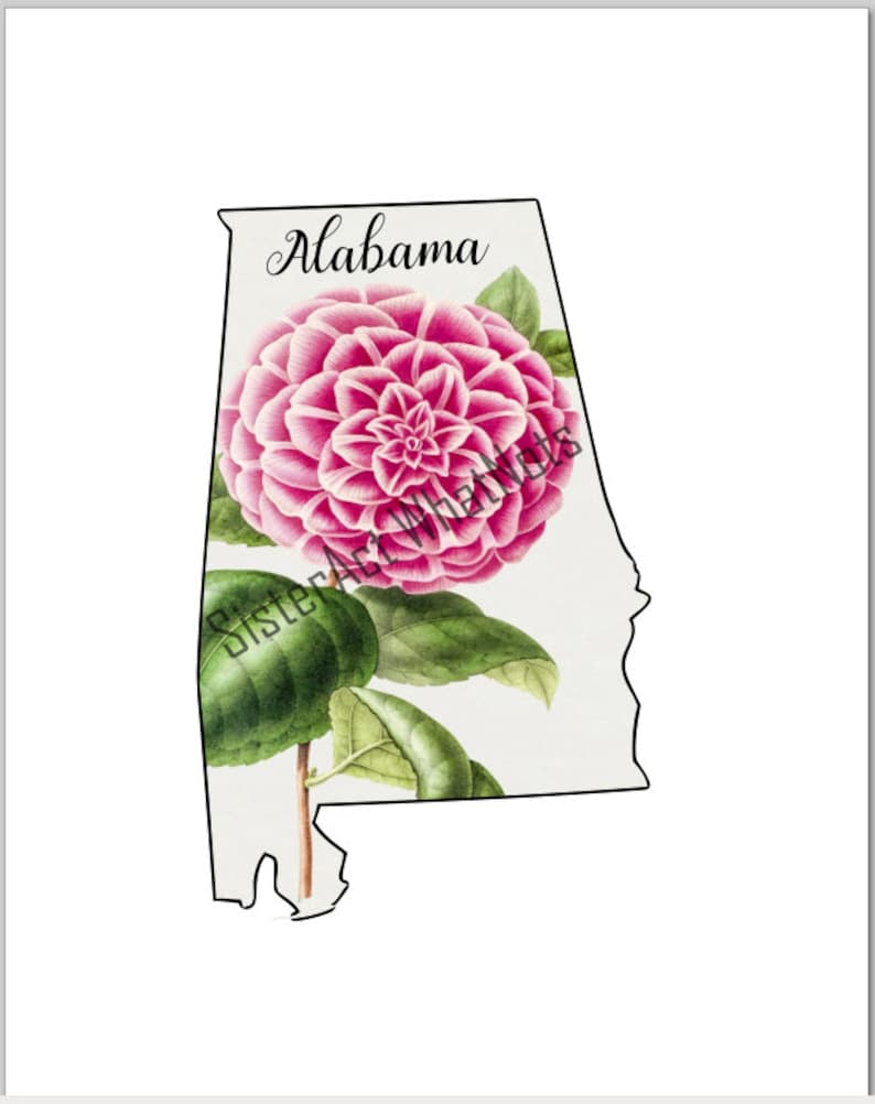 Alabama State PNG File Outline With State Flower Illustration (camellia ...