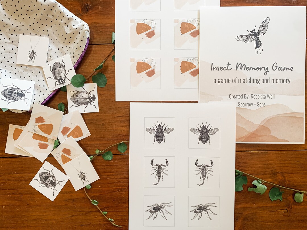 Insect Memory Game | Preschool, Homeschool, Minimalist, Educational ...