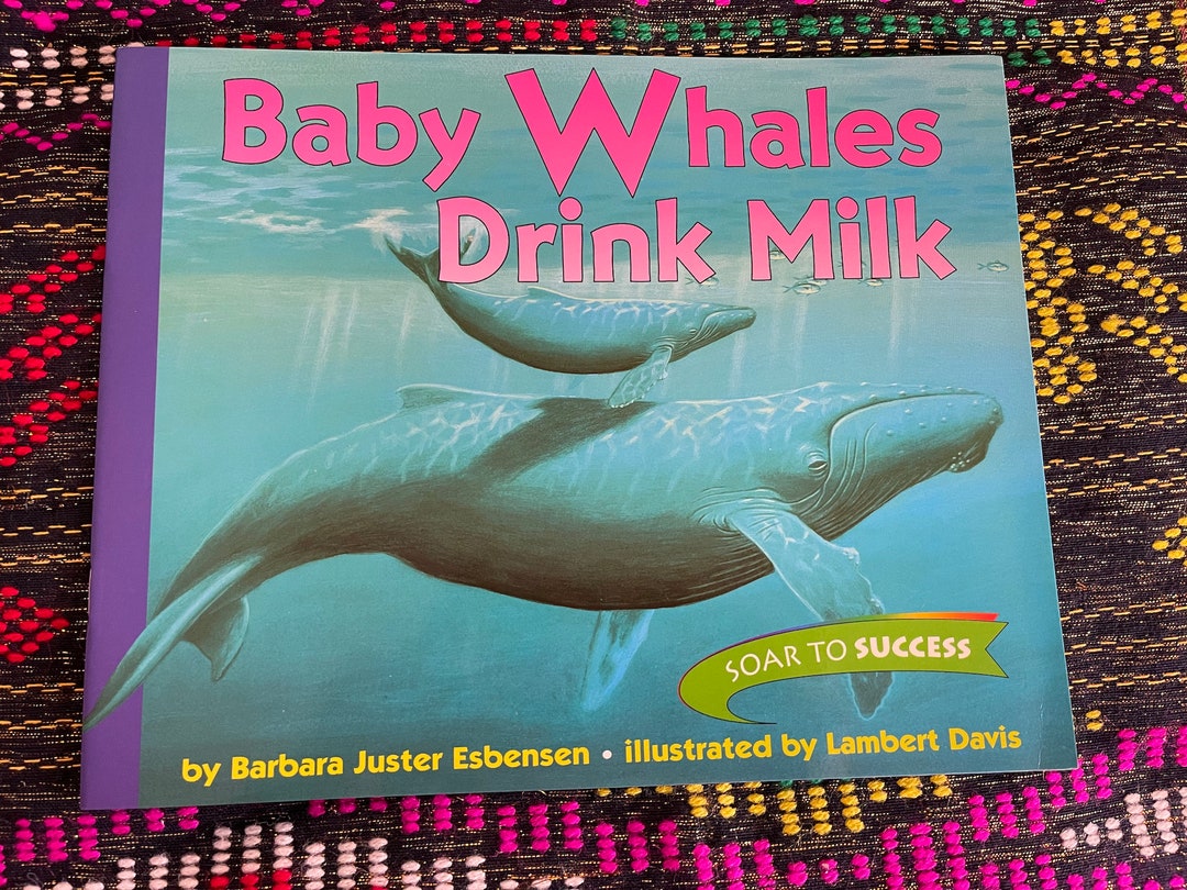 Baby Whales Drink Milk 12 Copies - Etsy