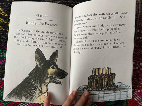 What Dogs Make The Best Seeing Eye Dogs