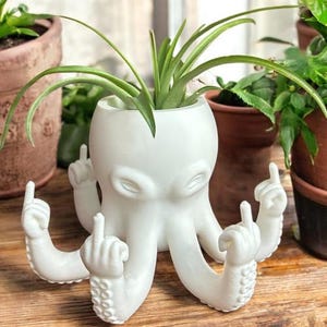 Octopus Middle Finger Plant Pot: Humorous Desk Decor - Etsy
