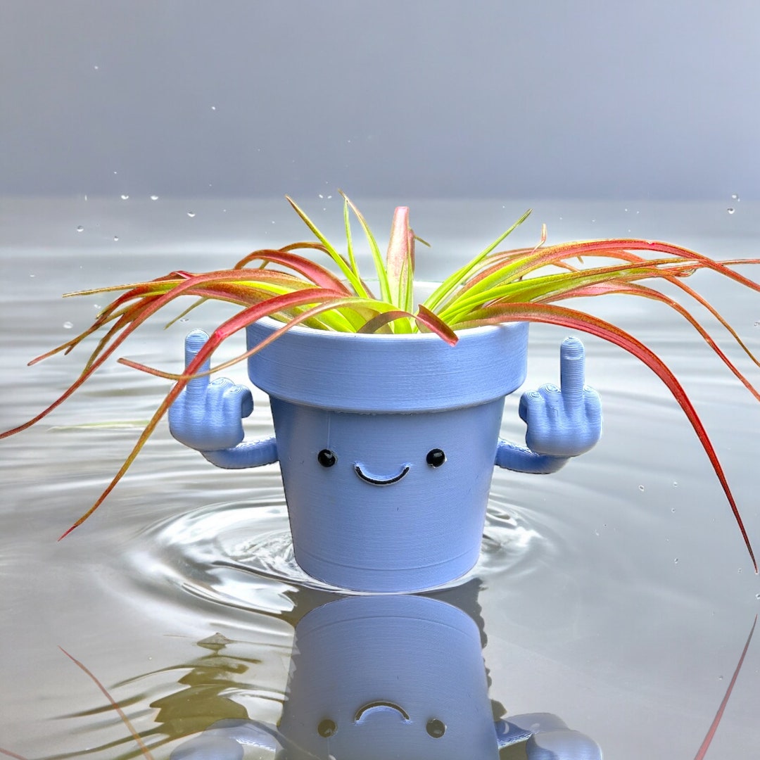 Funny Plant Pot Perfect Birthday Gift, Unique Decor for Home, Office ...