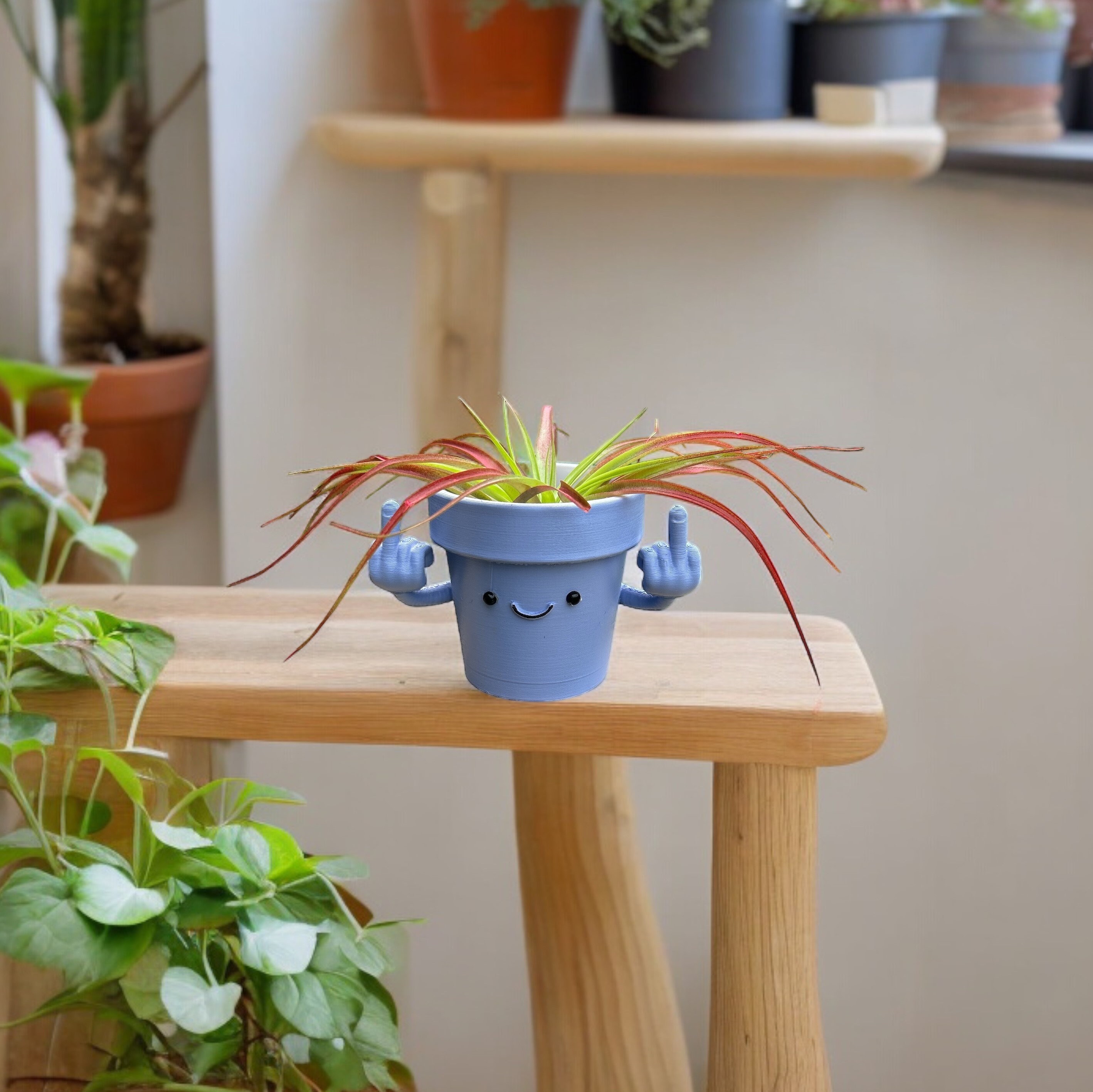 Funny Plant Pot Perfect Birthday Gift, Unique Decor for Home, Office ...