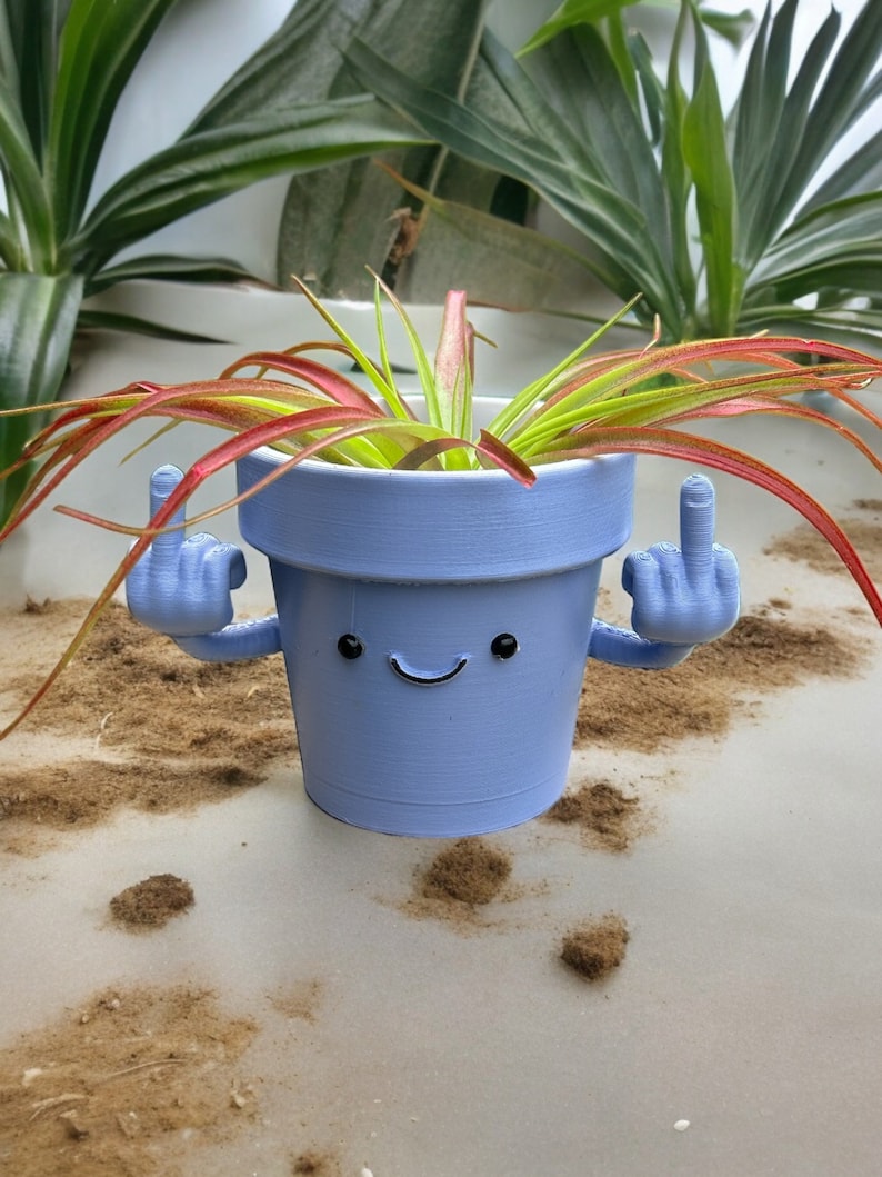 Funny Plant Pot Perfect Birthday Gift, Unique Decor for Home, Office, or Garden, Desk Accessory ...