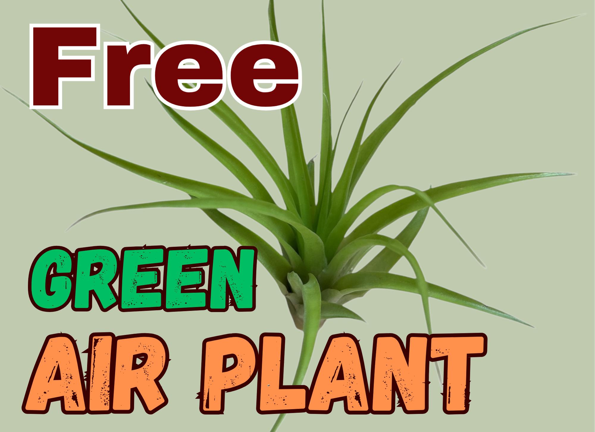 Octopus Plant Pot: Praying Hands & Peace Sign, Unique 3D Printed Air ...