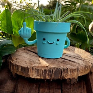 Cheerful Middle Finger Plant Pot - Funny, Unique, Playful, Decorative ...