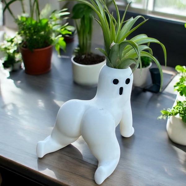 Funny Plant Pot - Etsy