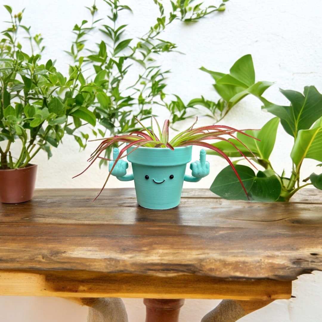 Cheerful Middle Finger Plant Pot Funny, Unique, Playful, Decorative ...