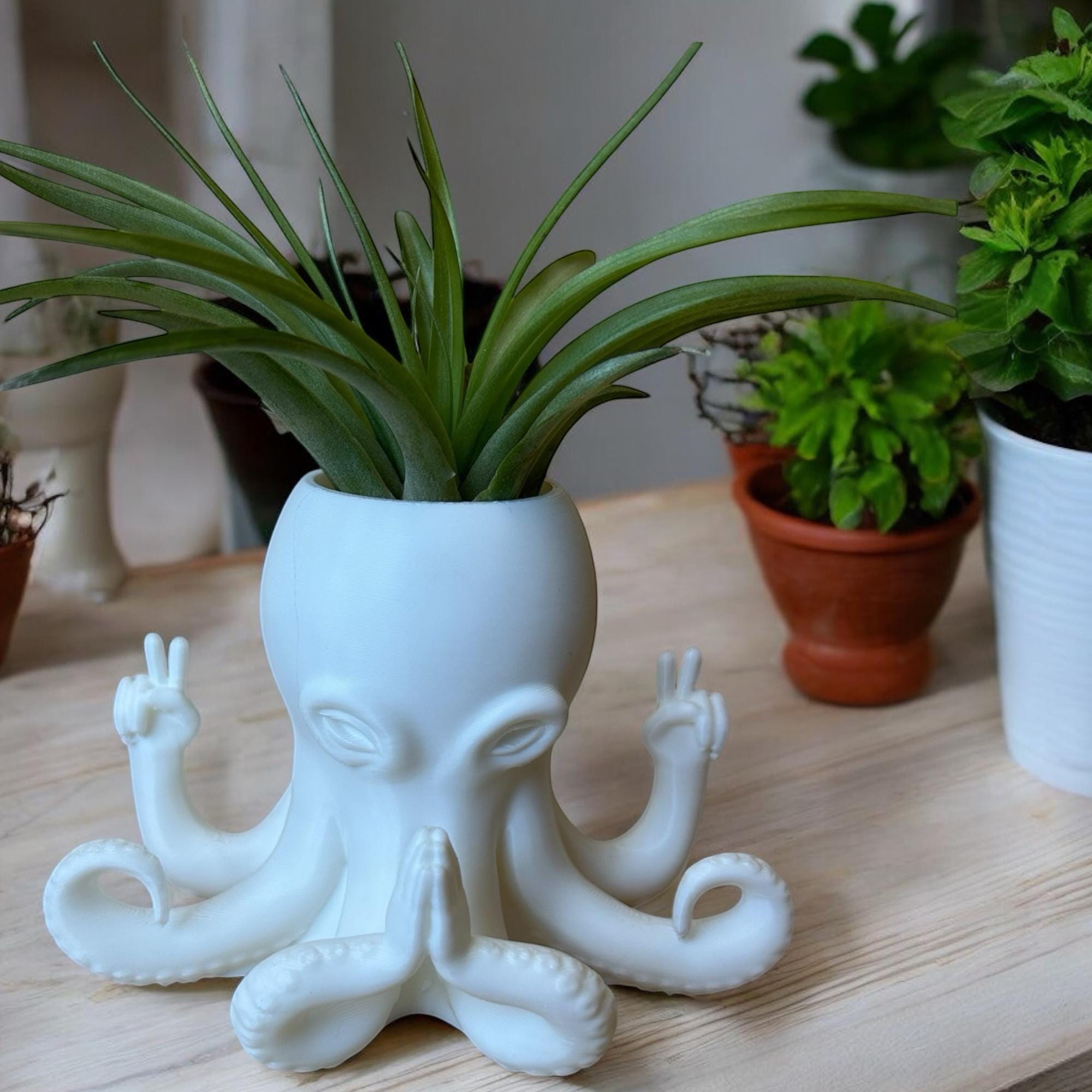 Octopus Plant Pot: Praying Hands & Peace Sign, Unique 3D Printed Air ...
