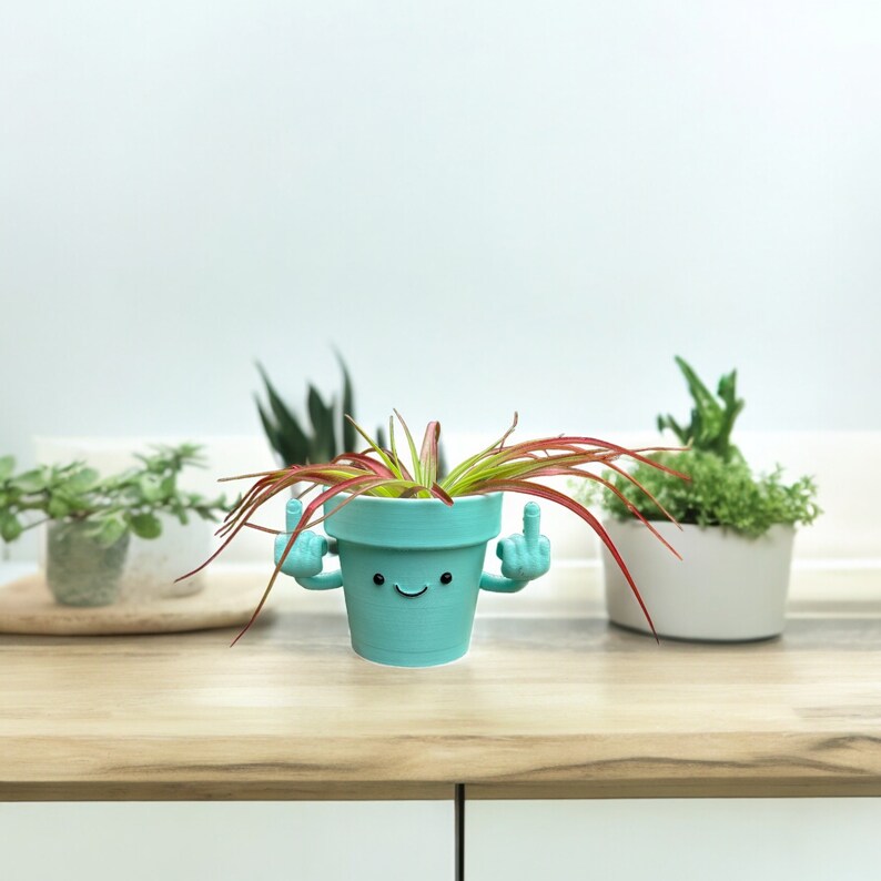 Cheerful Middle Finger Plant Pot Funny, Unique, Playful, Decorative ...