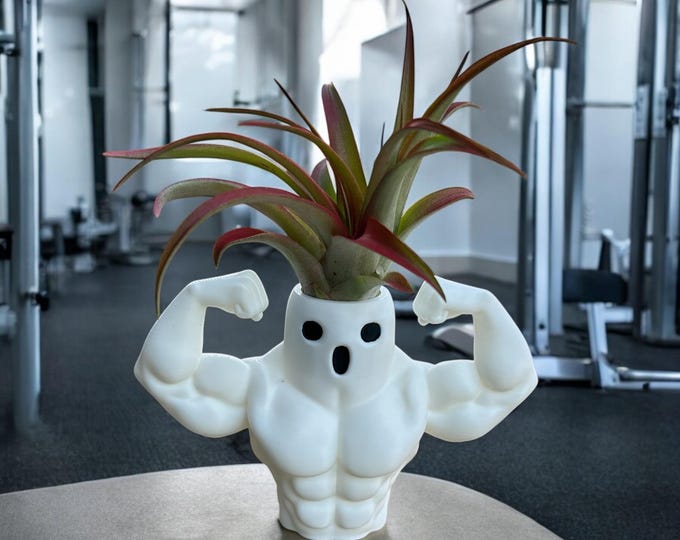 Funny Muscle Ghost Plant Pot: 3D Printed Bodybuilder Decor - Etsy