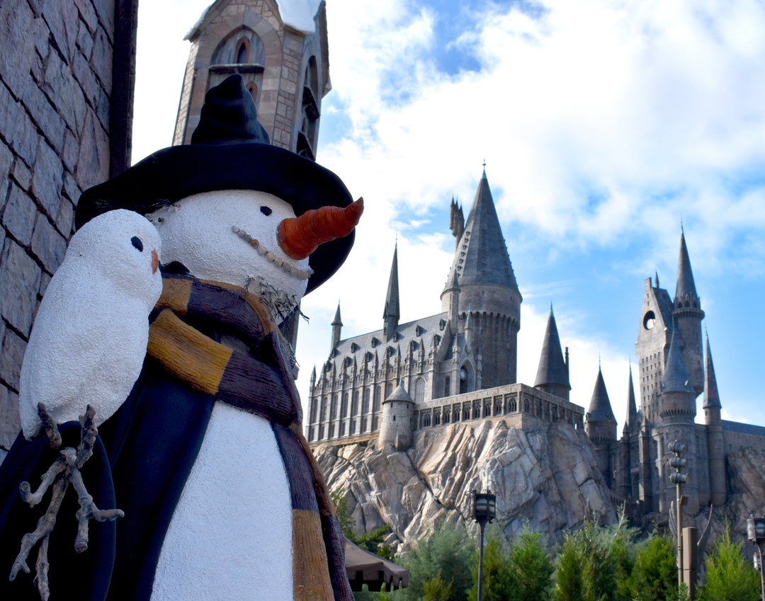 Your a Wizard, Snowman Color Print - Etsy