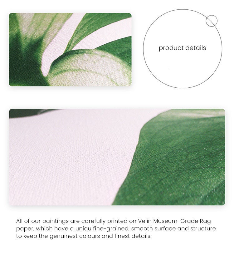 The Creation of Adam and Cat Original Oil Painting Cat - Etsy