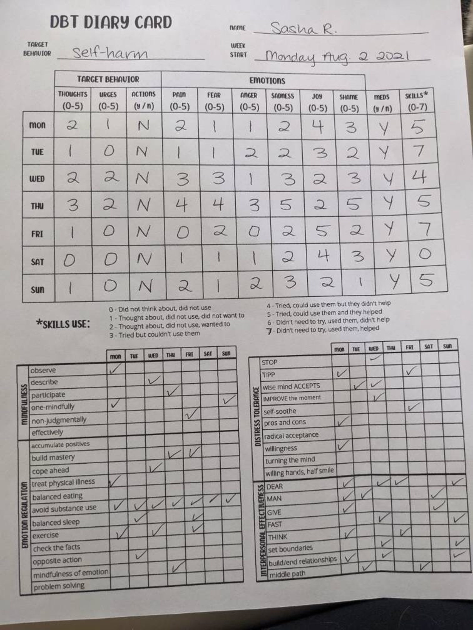 DBT Diary Card, Skills Tracking, Therapy Worksheet - Etsy