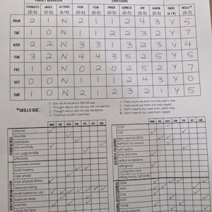 DBT Diary Card, Skills Tracking, Therapy Worksheet - Etsy