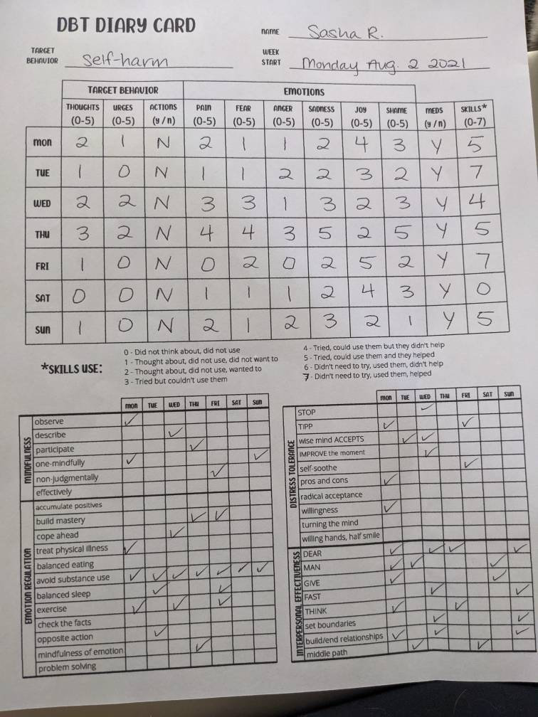 DBT Diary Card, Skills Tracking, Therapy Worksheet - Etsy
