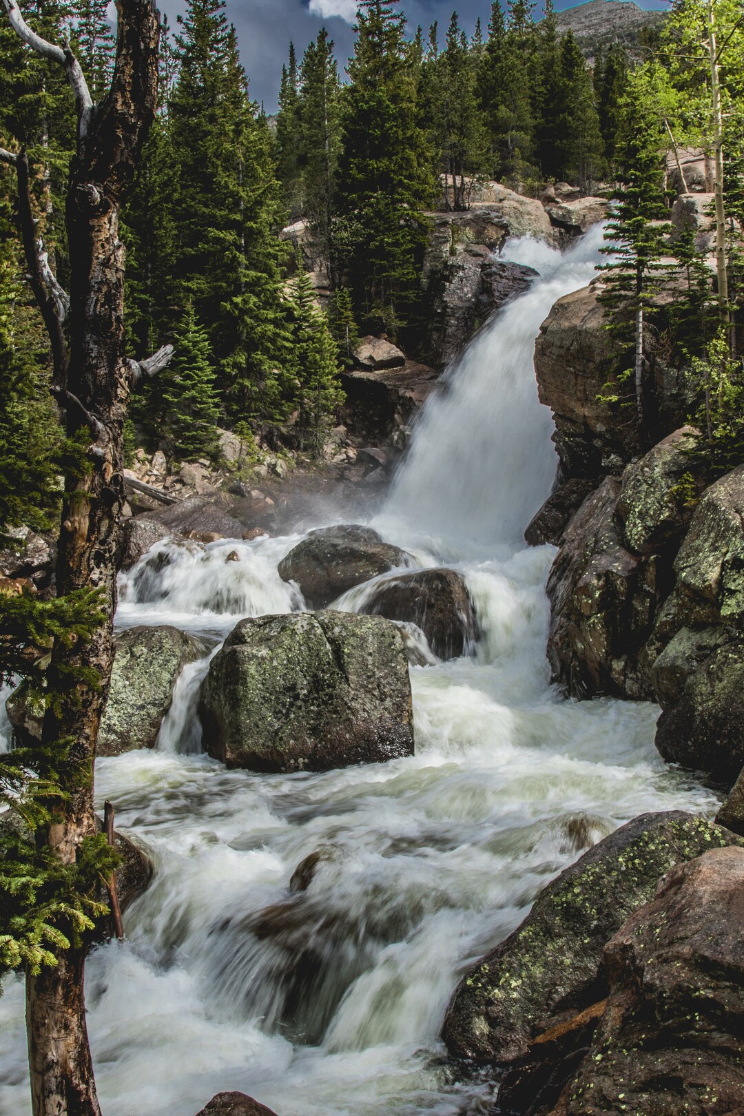 Alberta Falls, Colorado, Farbe und Schwarz & Weiß - Etsy Österreich