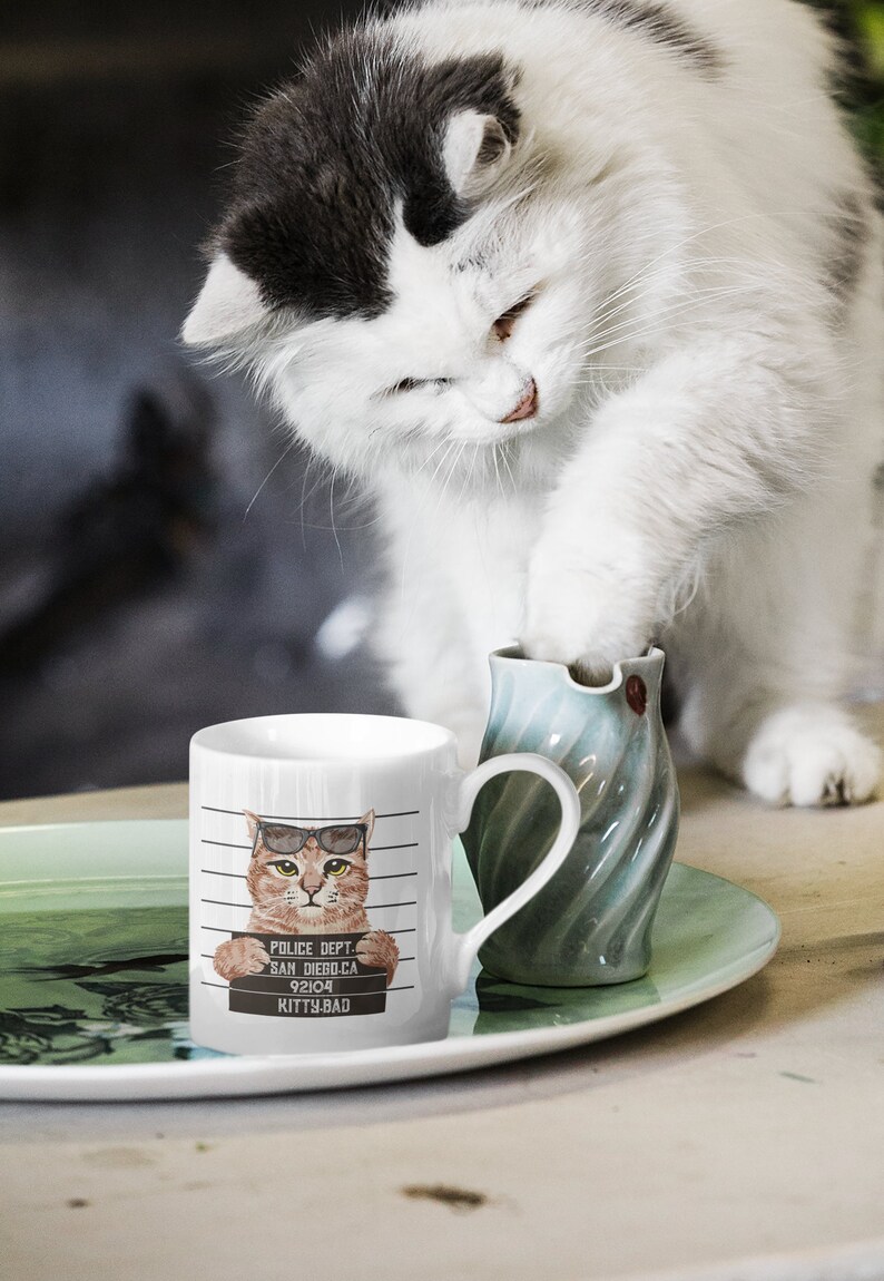 Bad Cat Ceramic Mug, Mugshot in Jail Cats, Funny Novelty Cat, Kitten ...