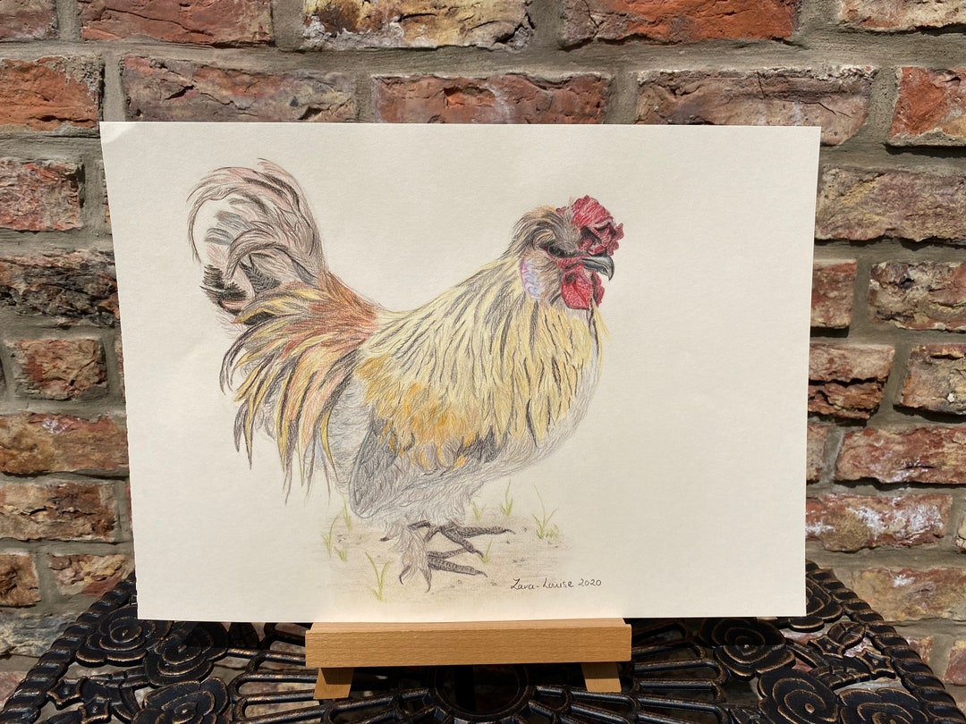 Original Colour Pencil Drawing Cockerel - Etsy Österreich