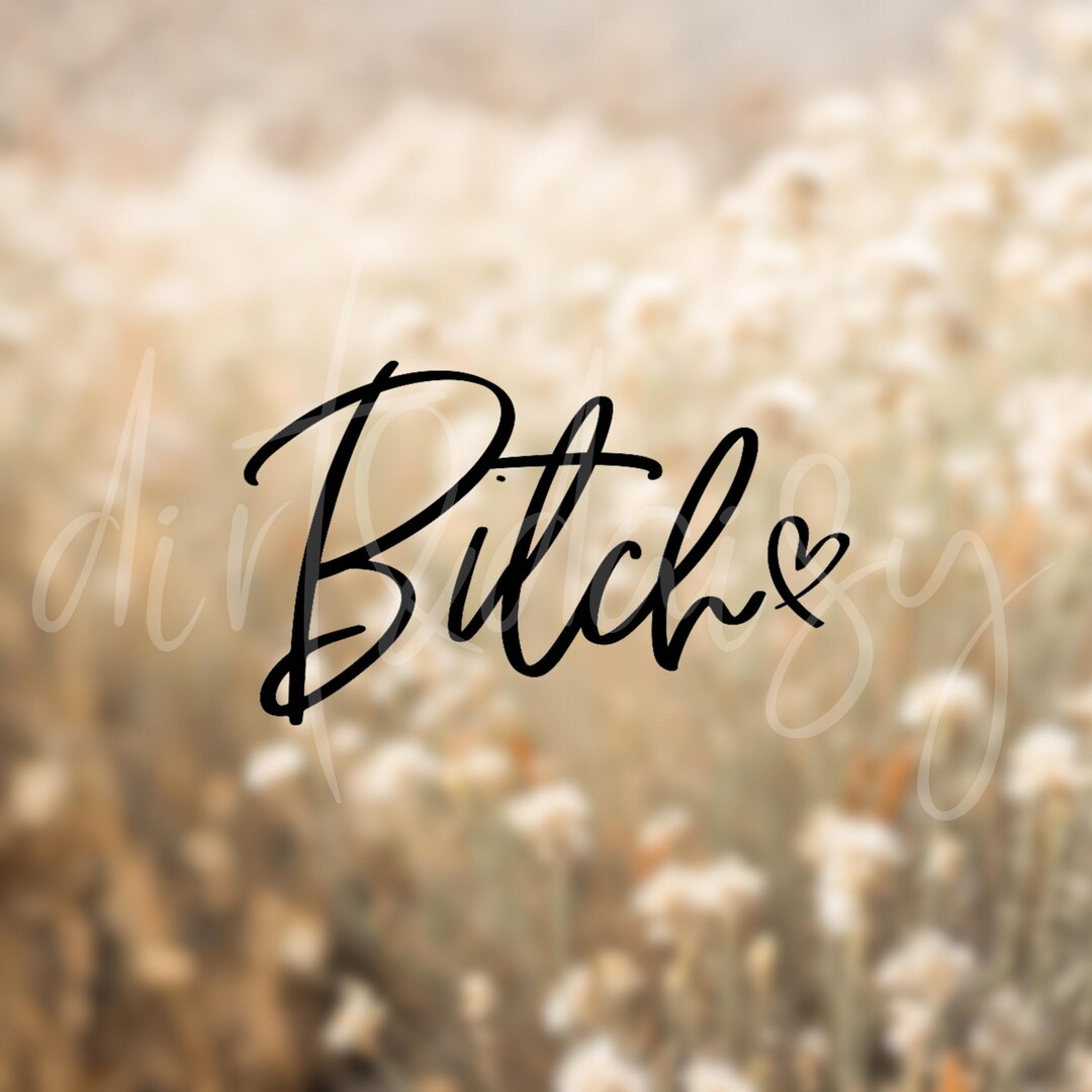 Bitch Decal, Bitch Sticker, Funny Car Decals, Cute Car Decals, Gifts ...