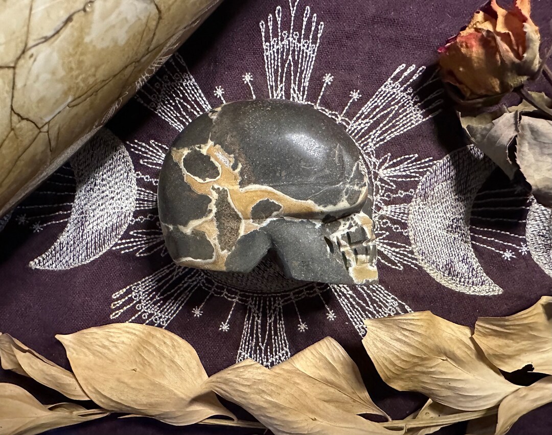 Indonesian Septarian Skull, All Natural - Etsy
