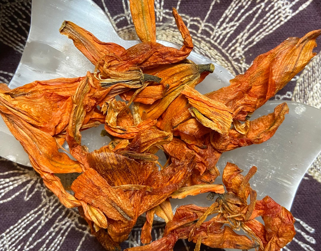 Tiger Lily, Marriage, Prosperity, Witchcraft, Pagan, All Natural - Etsy