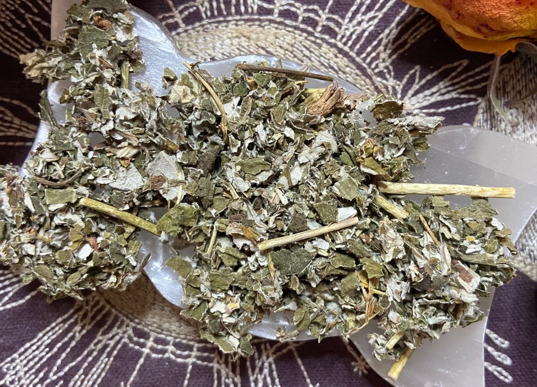 Raspberry Leaf 3 Protection Zzzz Pagan Witchcraft - Etsy