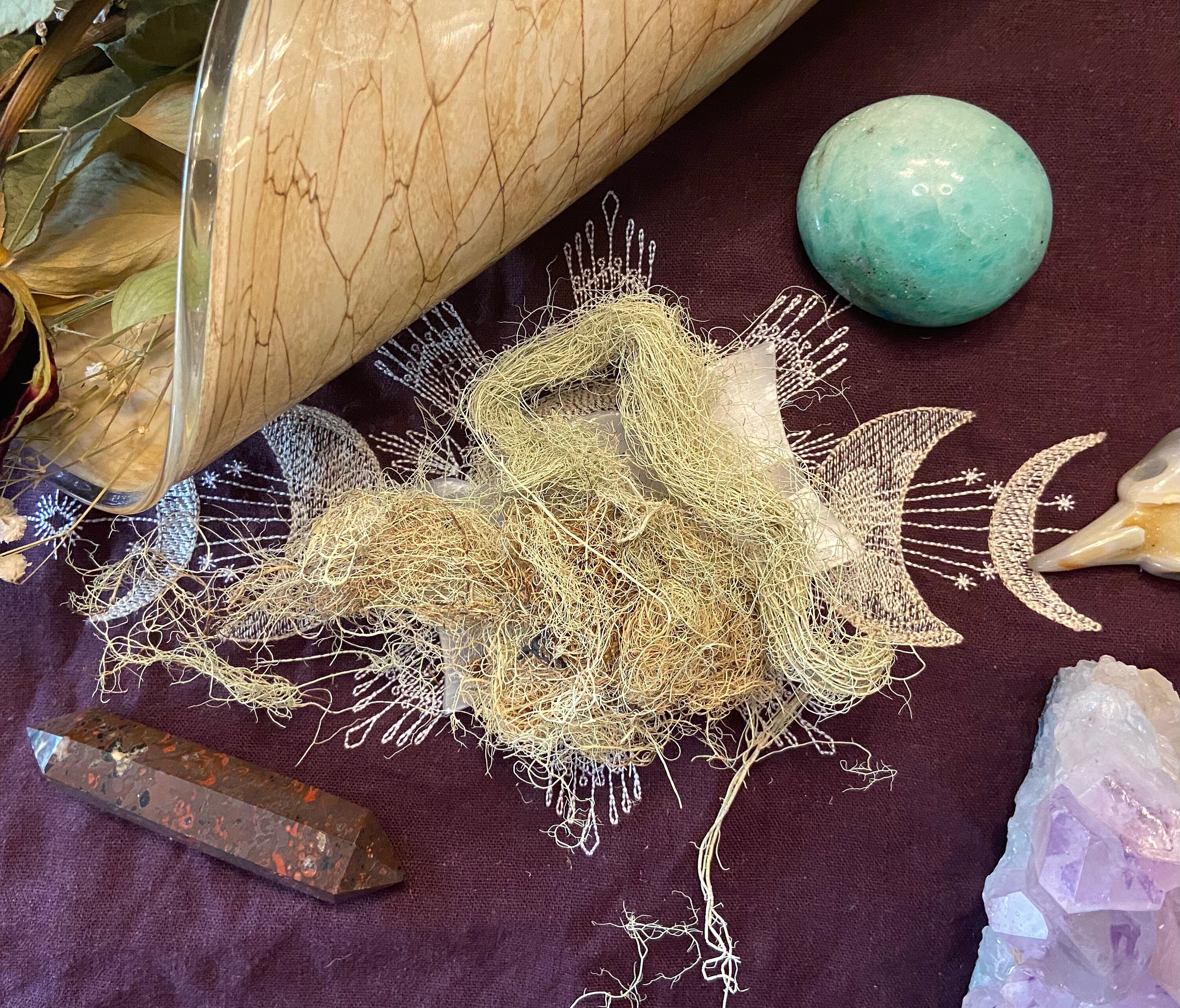 Usnea Lichen, Witch’s Hair, Clarity, Abundance, Harmony, Protection ...