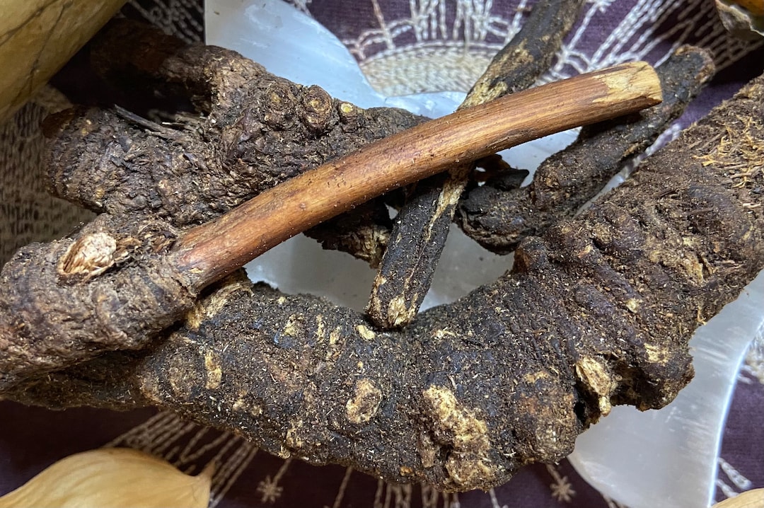 Osha Root, Enhance Psychic Abilities, Love, Fidelity, Increase Power of ...
