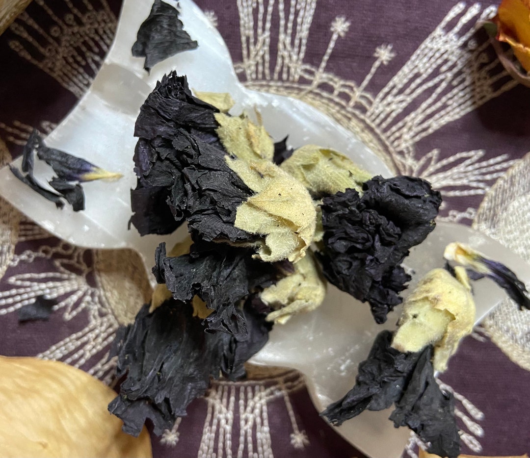 Black Malva (mallow) Flowers and Petal Pieces, Love Magick, Water ...