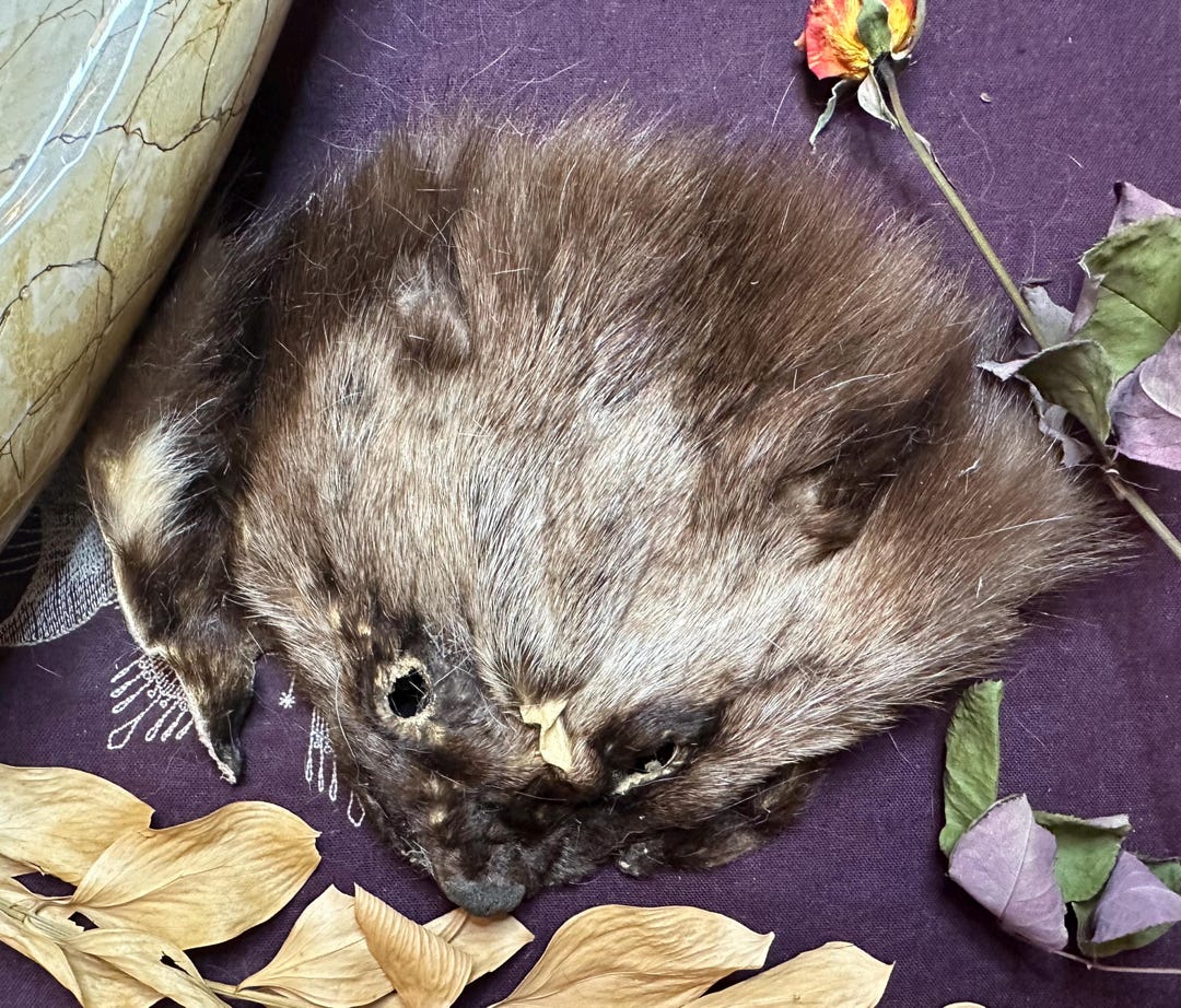 Fox Fur Face, Ethically Sourced, Real Fur, Pagan, Witchcraft - Etsy