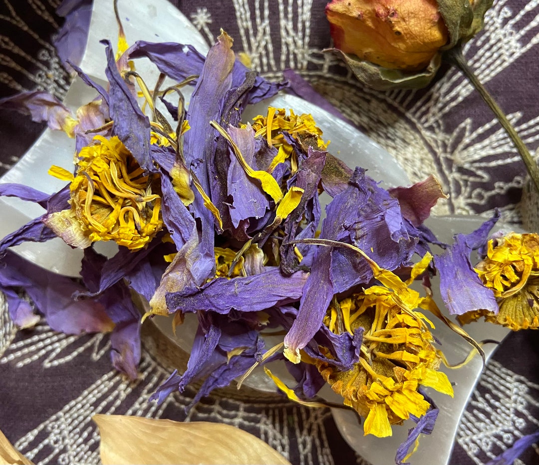 Blue Lotus Flower, Remove Stagnant Energy, Renewal, Intuition, All ...