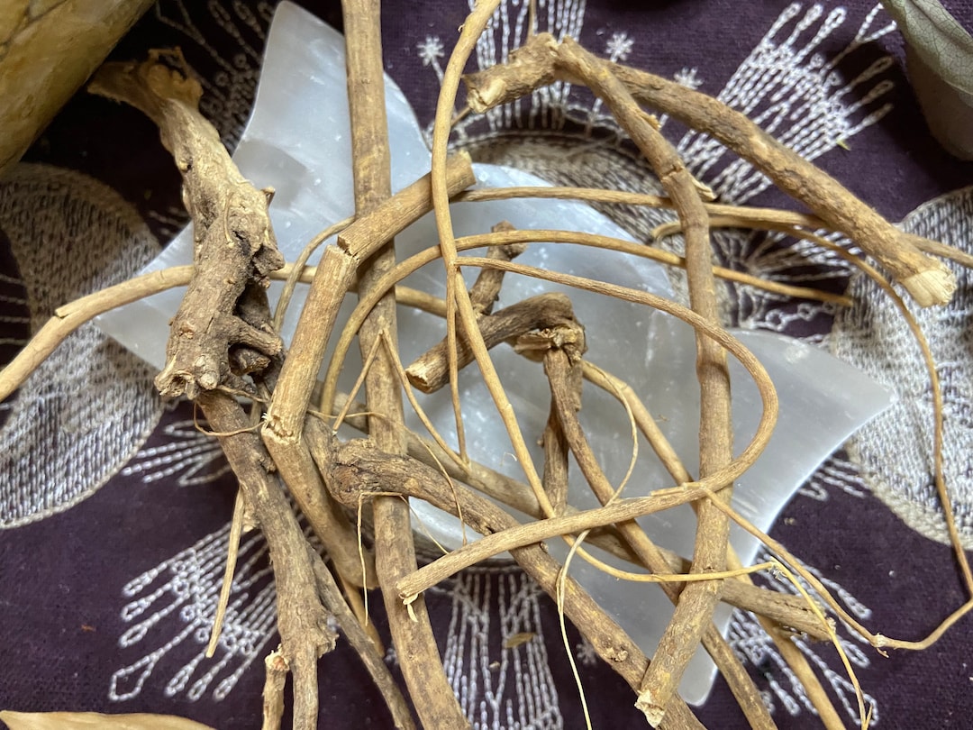 Devils Shoestring, Remove Negative Energy, Luck, Protection ...