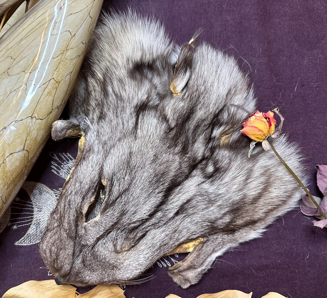 Silver Fox Fur Face, Ethically Sourced, Real Fur, Pagan, Witchcraft - Etsy