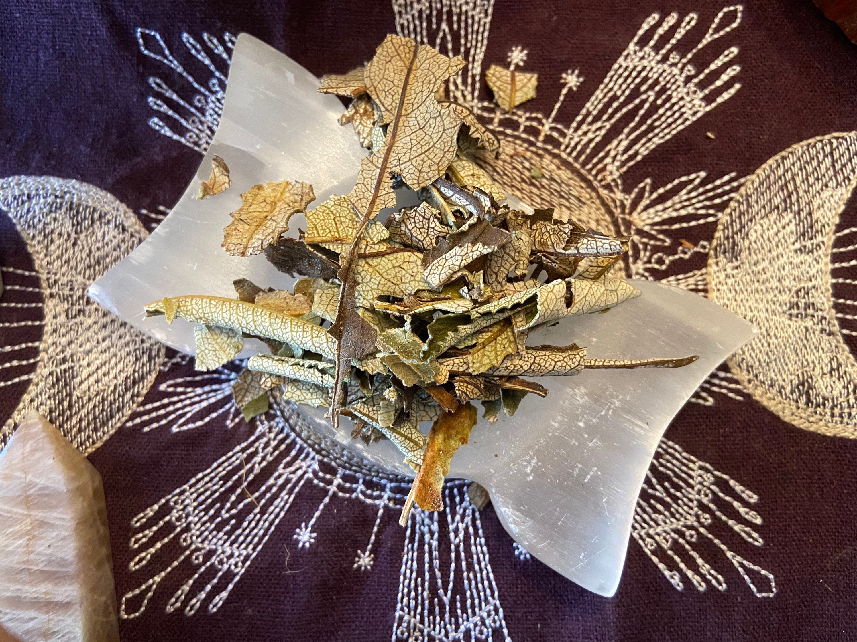 Yerba Santa Leaf, Glamour, Illusion, Beauty, All Natural — Triple ...