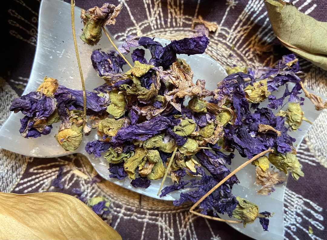 Blue Malva (mallow) Flowers, Exorcism, Beltane Rituals, Love, All ...