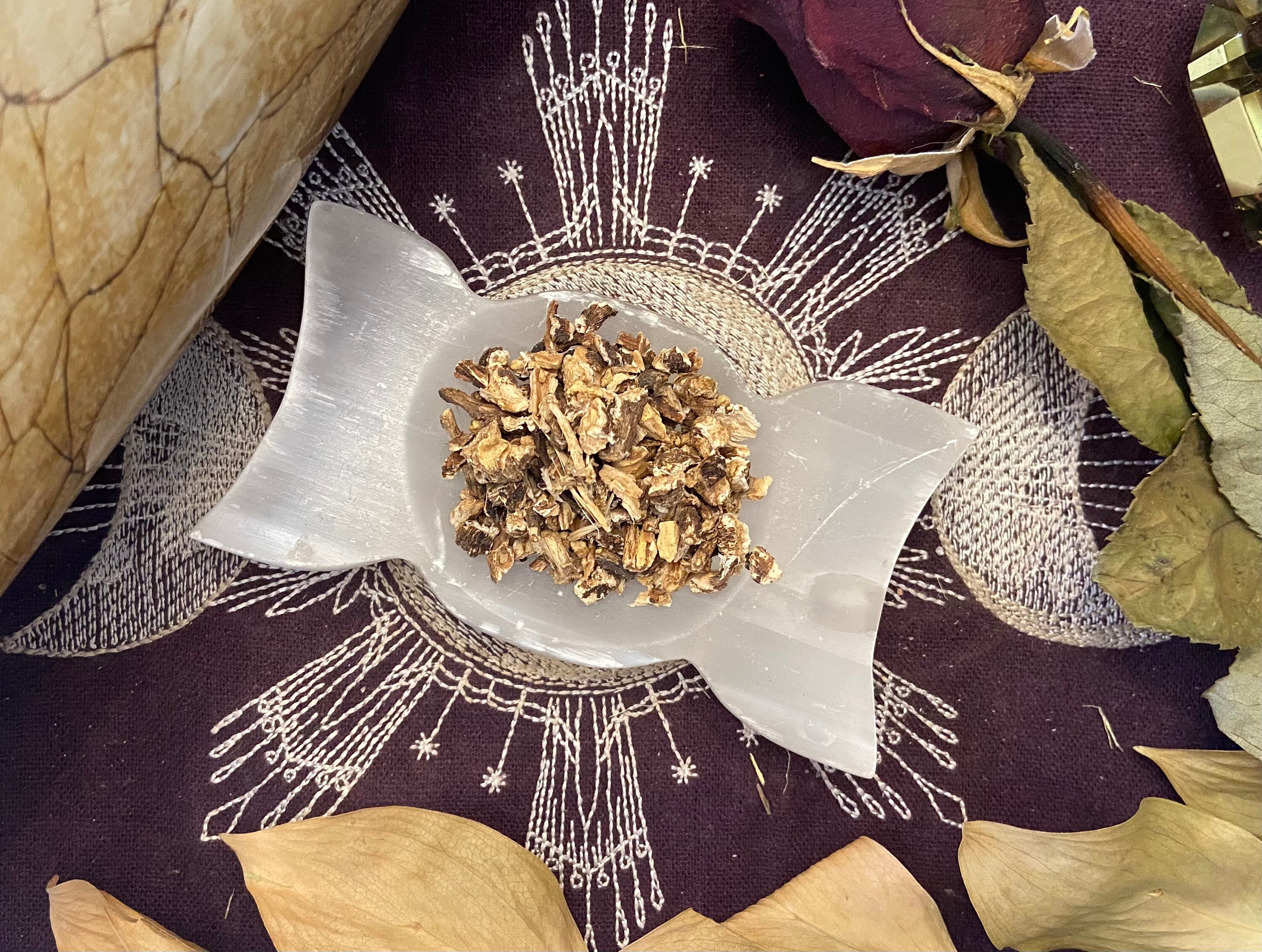 Dandelion Root, Luck, Wishes, Dream Magick, Divination, Communication ...