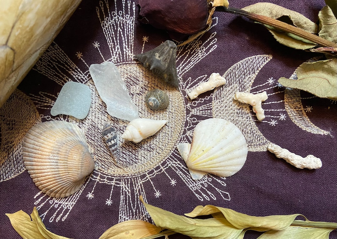 River and Sea for Me Divination Set, Shells, Coral, Sea Glass, Water ...